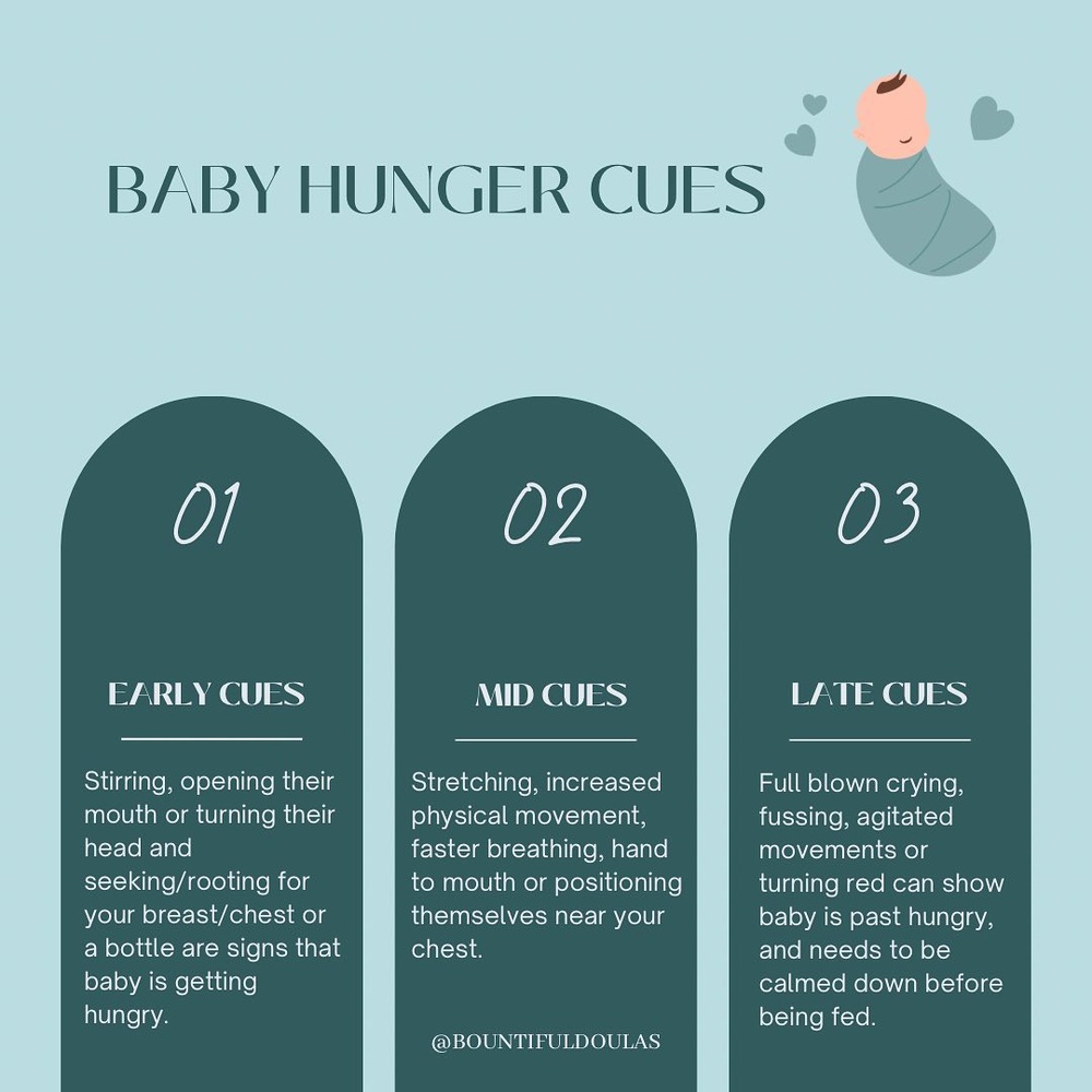 Baby Hunger Cues